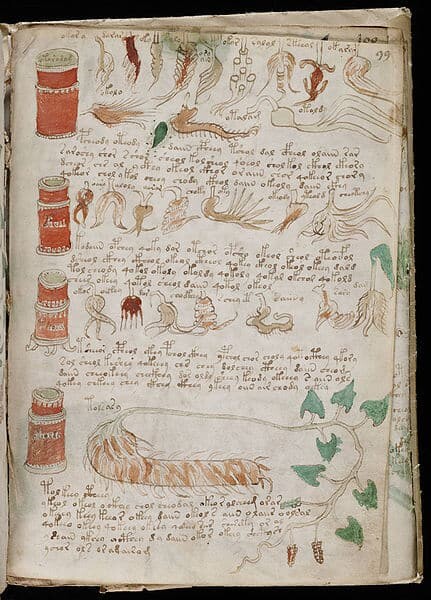 The Voynich Manuscript | Historic Mysteries