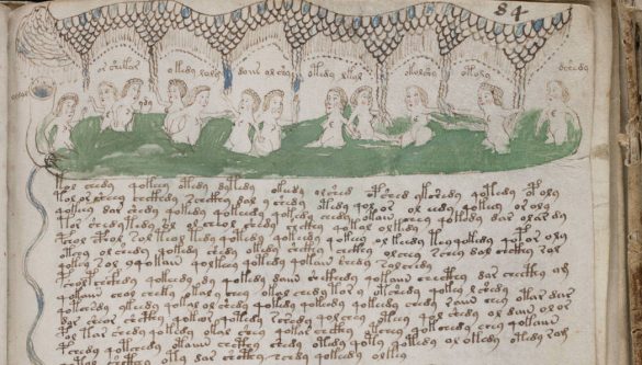 Voynich Manuscript: Undeciphered Medieval Book - Historic Mysteries