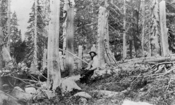 Was There Cannibalism in the Donner Party? - Historic Mysteries