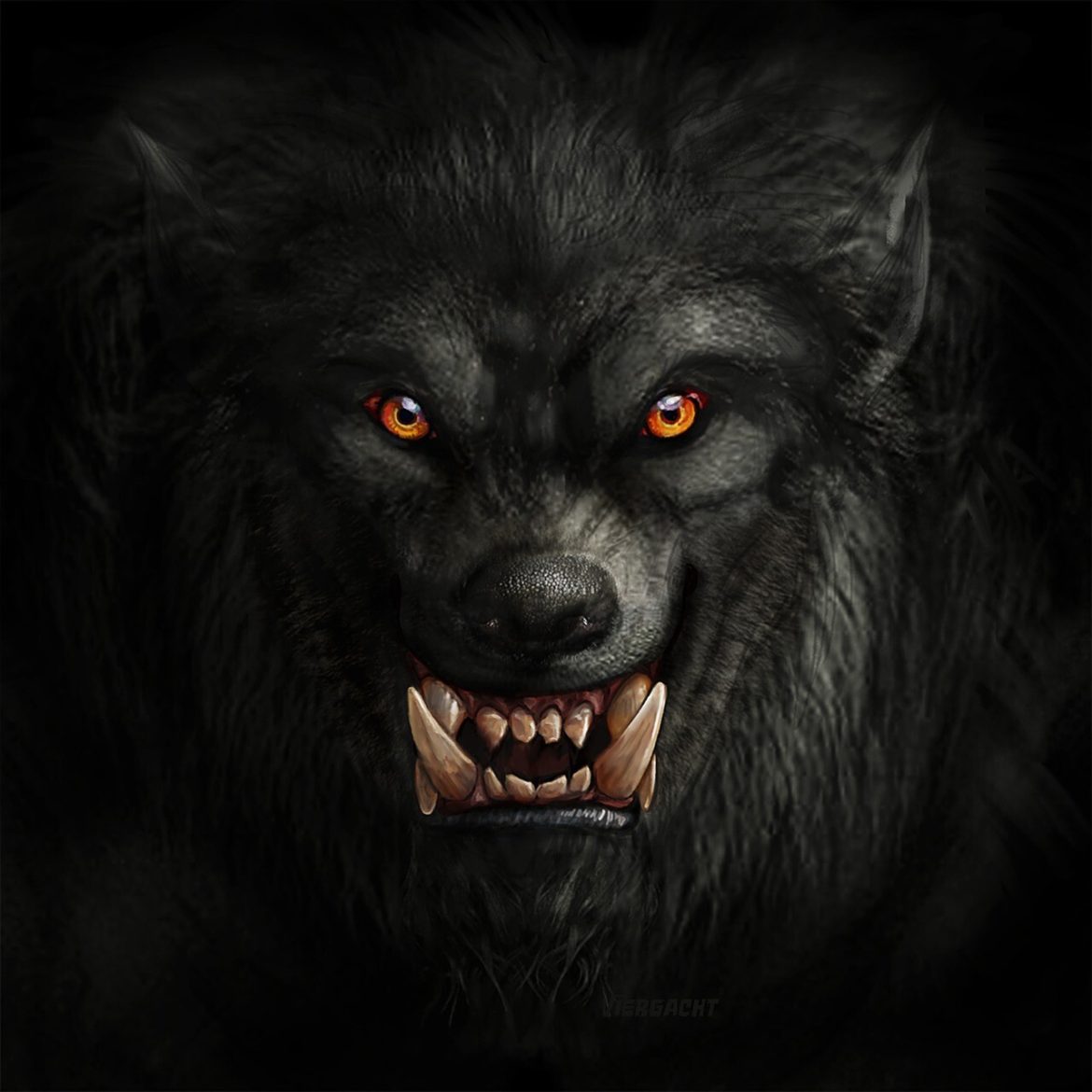 Black Shuck: Hellhound of Bungay - Historic Mysteries