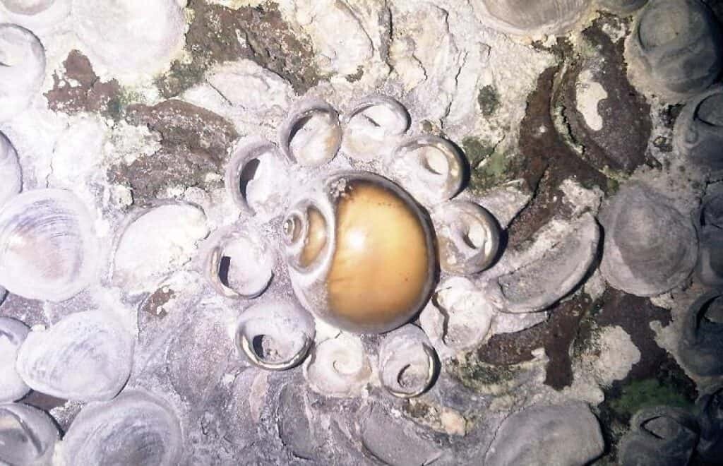 The Shell Grotto of Margate is a Complete Mystery | Historic Mysteries