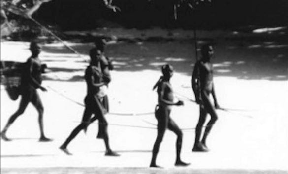 North Sentinel Island: The Last Isolated Culture in the Andamans