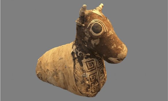 Ancient Egyptian Animal Mummies - Historic Mysteries