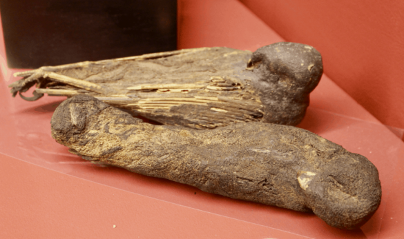 Ancient Egyptian Animal Mummies - Historic Mysteries