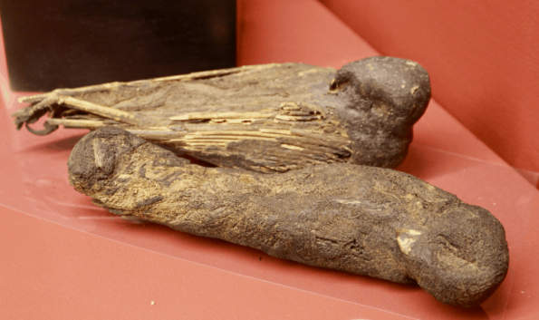 Ancient Egyptian Animal Mummies - Historic Mysteries