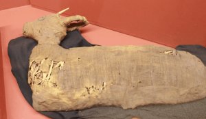 Ancient Egyptian Animal Mummies - Historic Mysteries