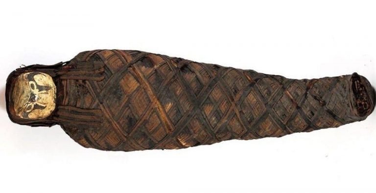 Ancient Egyptian Animal Mummies - Historic Mysteries