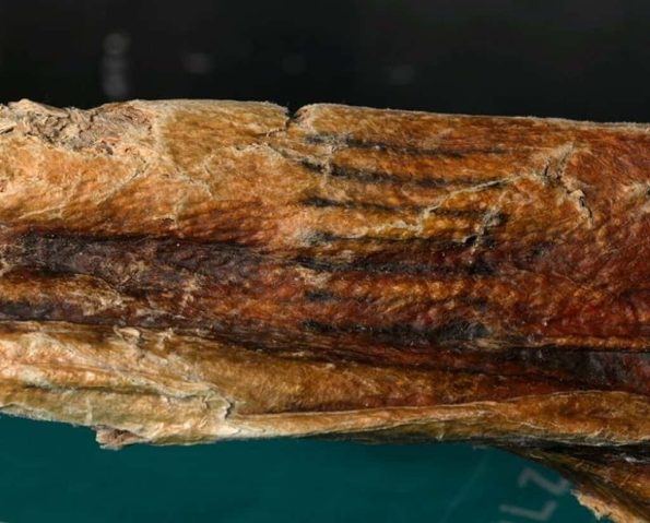 Ancient Tattoos of Ötzi and El Morro Man - Historic Mysteries