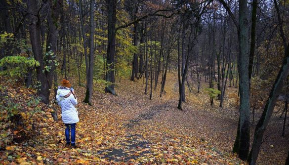 Missing 411: Disappearances in the Wilderness - Historic Mysteries