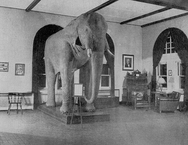 “Freak Shows”: P T Barnum and the Circus of Exploitation - Historic ...