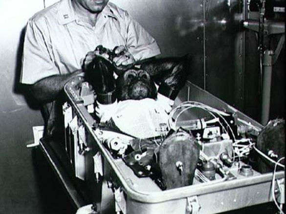 The Strange Story of Oliver: Human, Chimpanzee, Or a ‘Humanzee ...