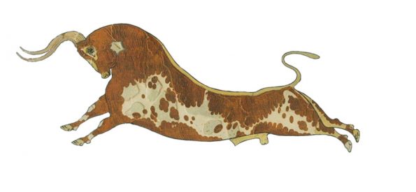 Rediscovering The Aurochs: Eurasia’s Giant Cow - Historic Mysteries