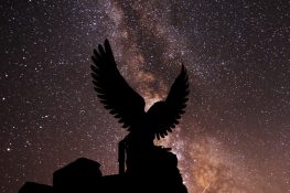 Chinese Pyromancy: Oracle Bones and the Reading of Fate - Historic ...