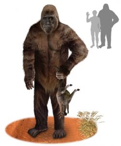 The Yowie: More Than Just Australia's Bigfoot? - Historic Mysteries