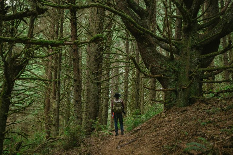 The Leshy: Slavic Monster that Inspired a TV Franchise - Historic Mysteries
