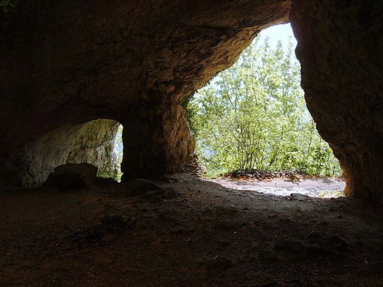 Stone Age Bone Flutes: Music to Our Ears? - Historic Mysteries