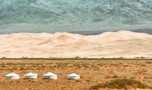 The Mongolian Death Worm: Nightmare Cryptid of the Gobi Desert ...