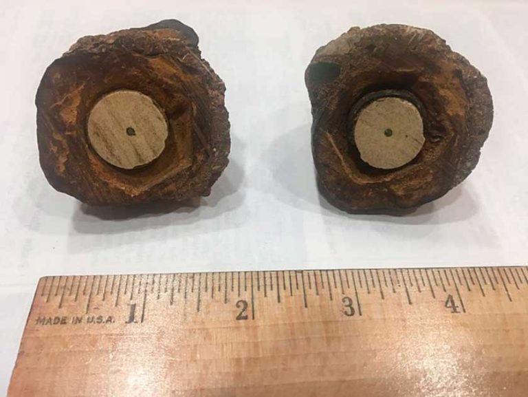 In Pictures: Ten “Out of Place” Artifacts - Historic Mysteries