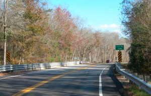 The Lizardman of Scape Ore Swamp: A Reptilian Humanoid? - Historic ...