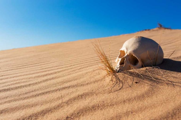 Thirteen Years of Silence: The West Mesa Murders - Historic Mysteries