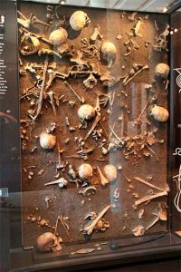 The Professional Soldiers of Tollense Valley, Europe's Oldest Battle ...