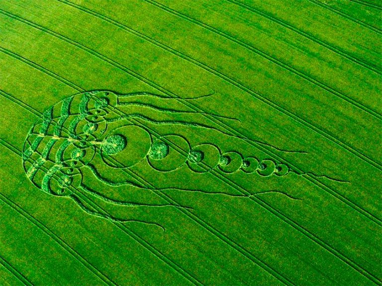 Doug, Dave, and Crop Circles: The Men Who Conned the World - Historic ...