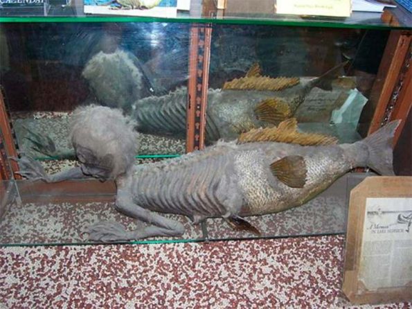 The Fiji Mermaid: What Was It and Why Did It Garner Such Interest ...
