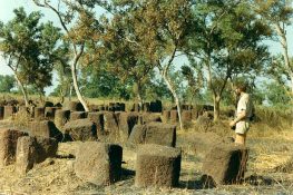 A Lost World? The Stone Circles of Senegambia - Historic Mysteries
