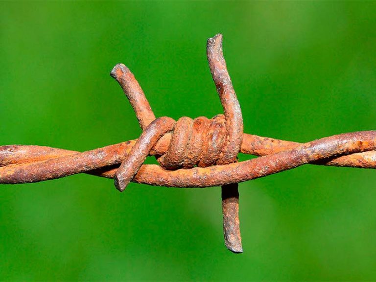 Barbed Wire: the Most Transformative Invention in US History ...