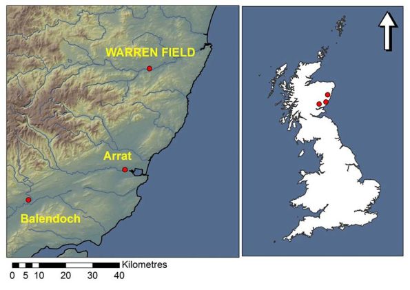 Warren Field: Scotland’s (and the World's) Oldest Calendar - Historic ...