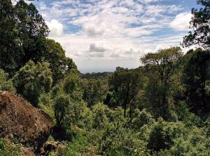 Kitum Cave: The Deadliest Place on Earth? - Historic Mysteries