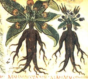 Homunculus: How to Conjure Your Own Magical Servant - Historic Mysteries