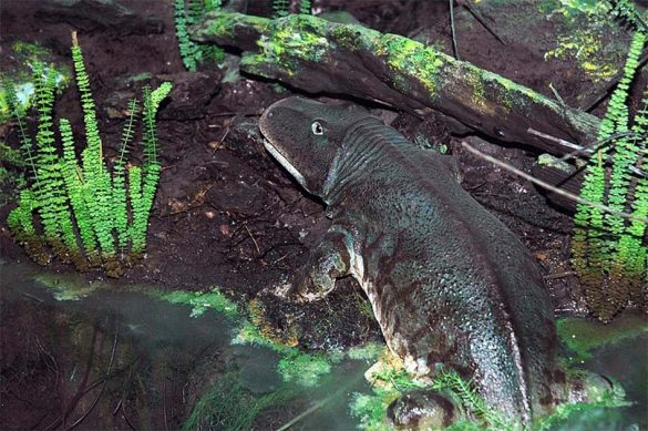 The Permian Extinction and the Highest Death Toll in History - Historic ...
