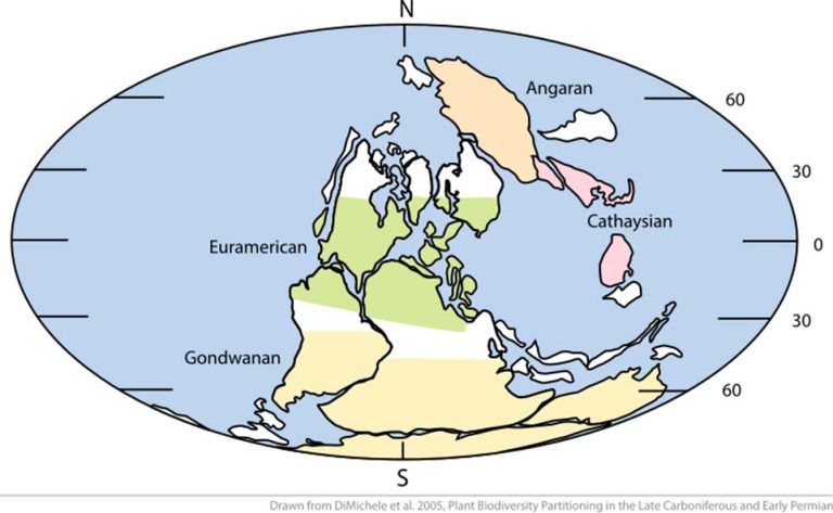 The Permian Extinction and the Highest Death Toll in History - Historic ...