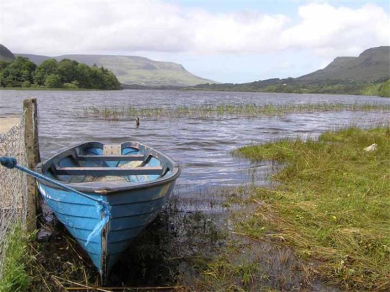 Dobhar-chú: The Otter King of Irish Folklore - Historic Mysteries