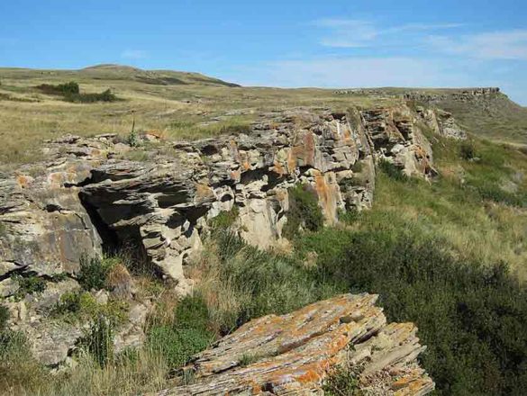 The Buffalo Jump: Hunting with Gravity, Native American Style ...
